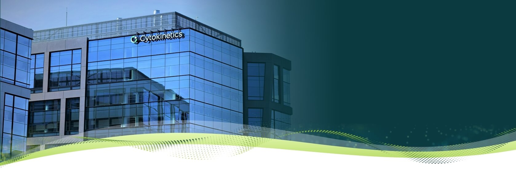 Contact Us | Cytokinetics